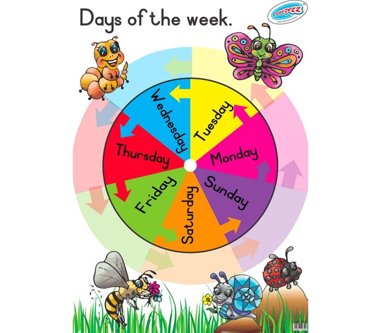 Days of the Week Poster - Mambos Online Store