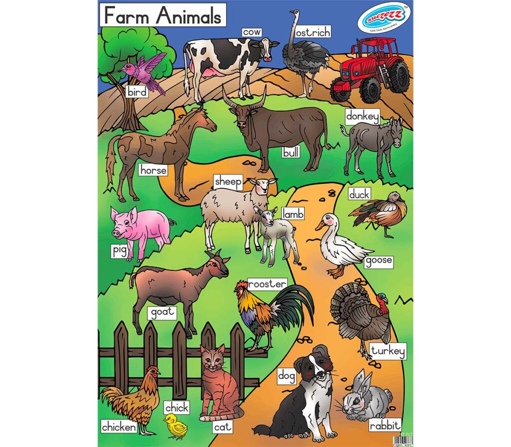 Farm Animals Poster - Mambos Online Store