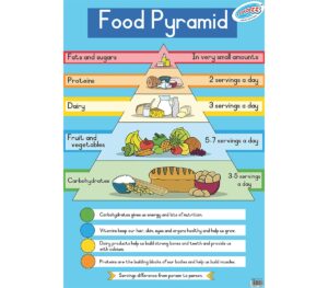 Food Pyramid Poster - Mambos Online Store